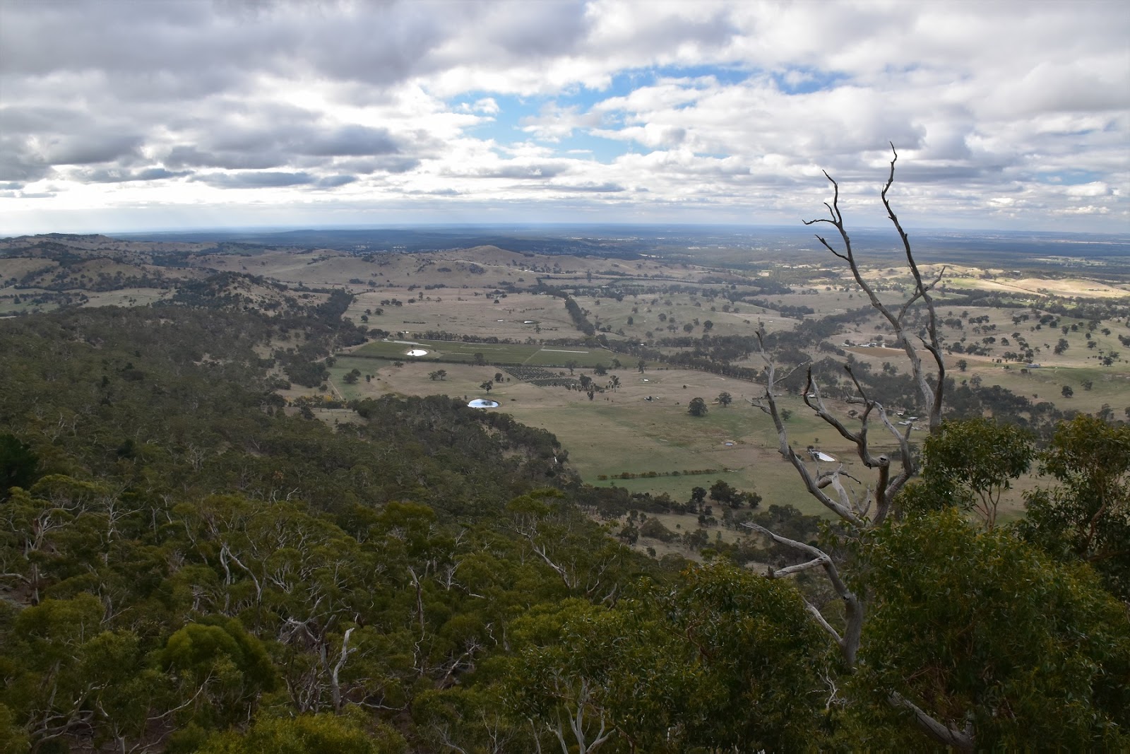 Goin' Feral One Day At A Time: Mt Alexander, Mt Alexander Regional Park ...