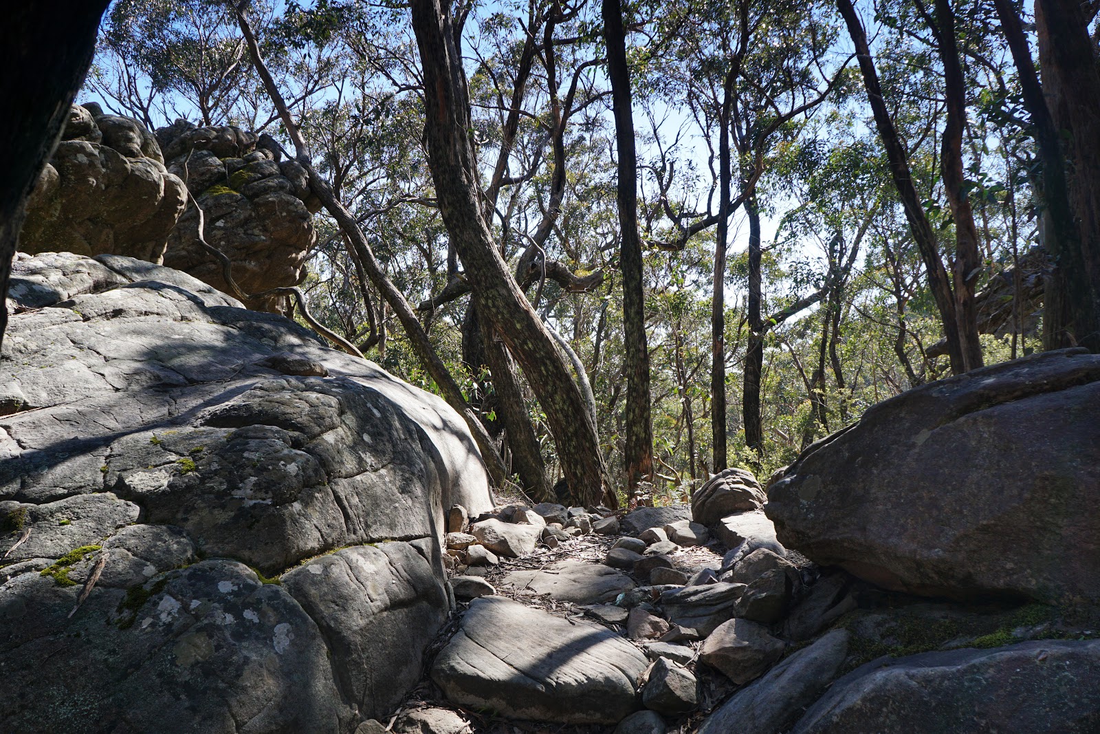 Mt Rosea Loop (Grampians National Park) ~ The Long Way's Better