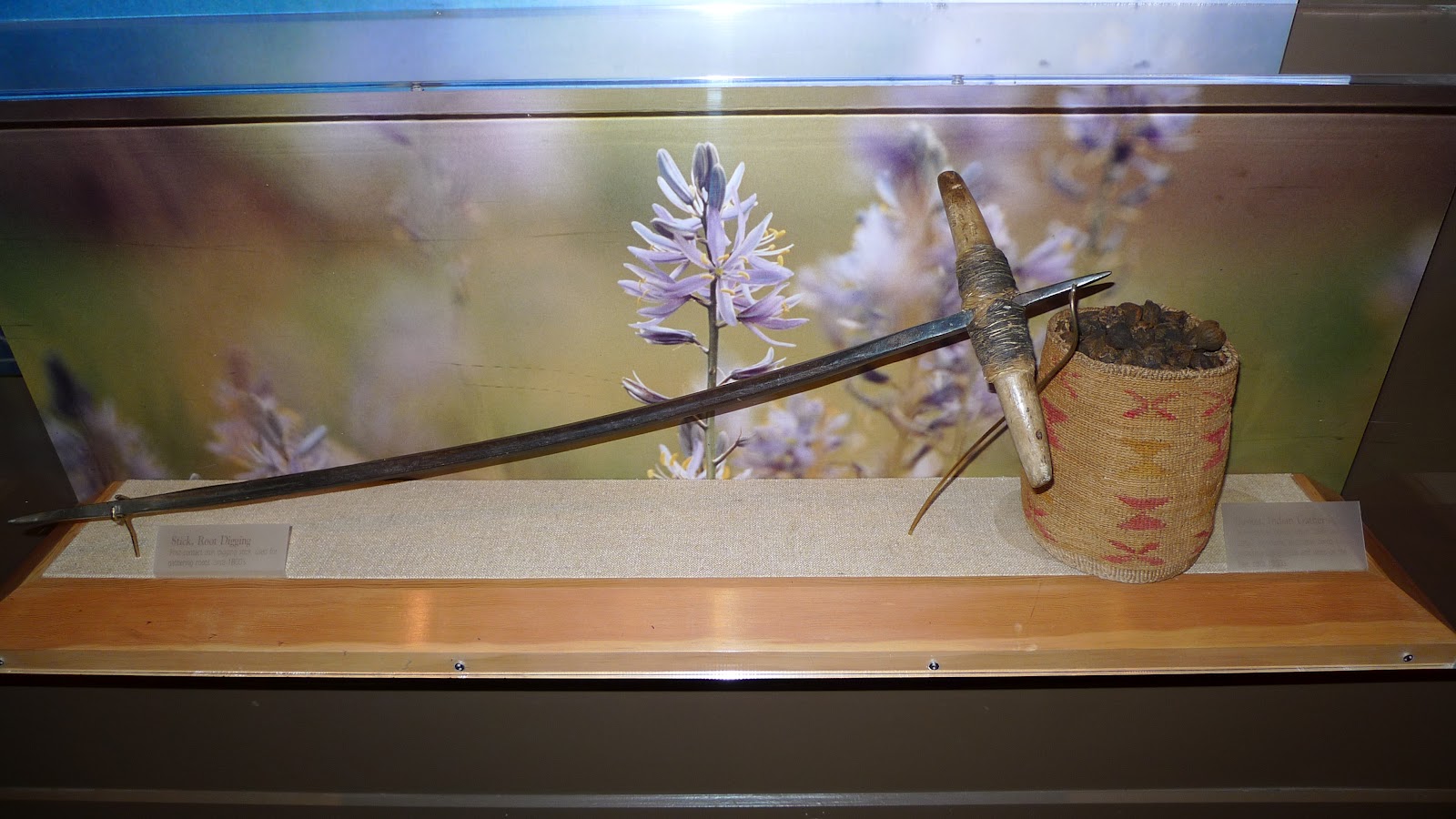 Wild Harvests: April 2012