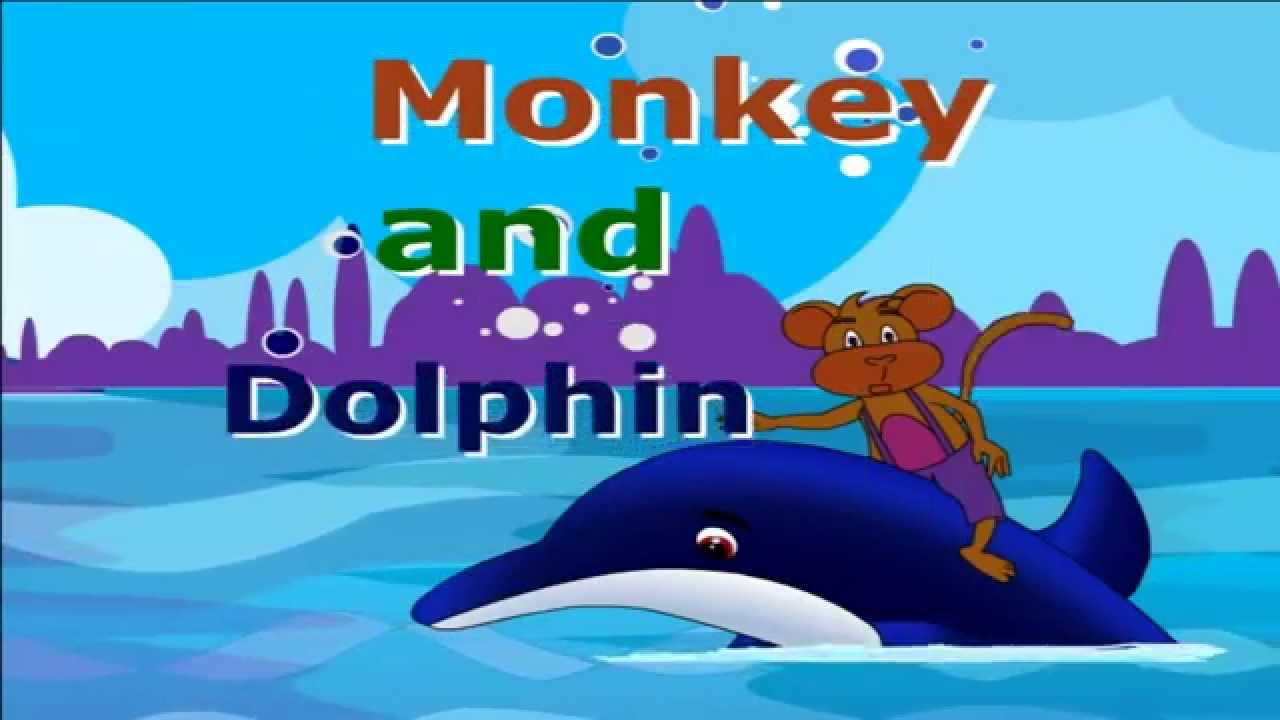 The Monkey and The Dolphin - KIDS STORIES