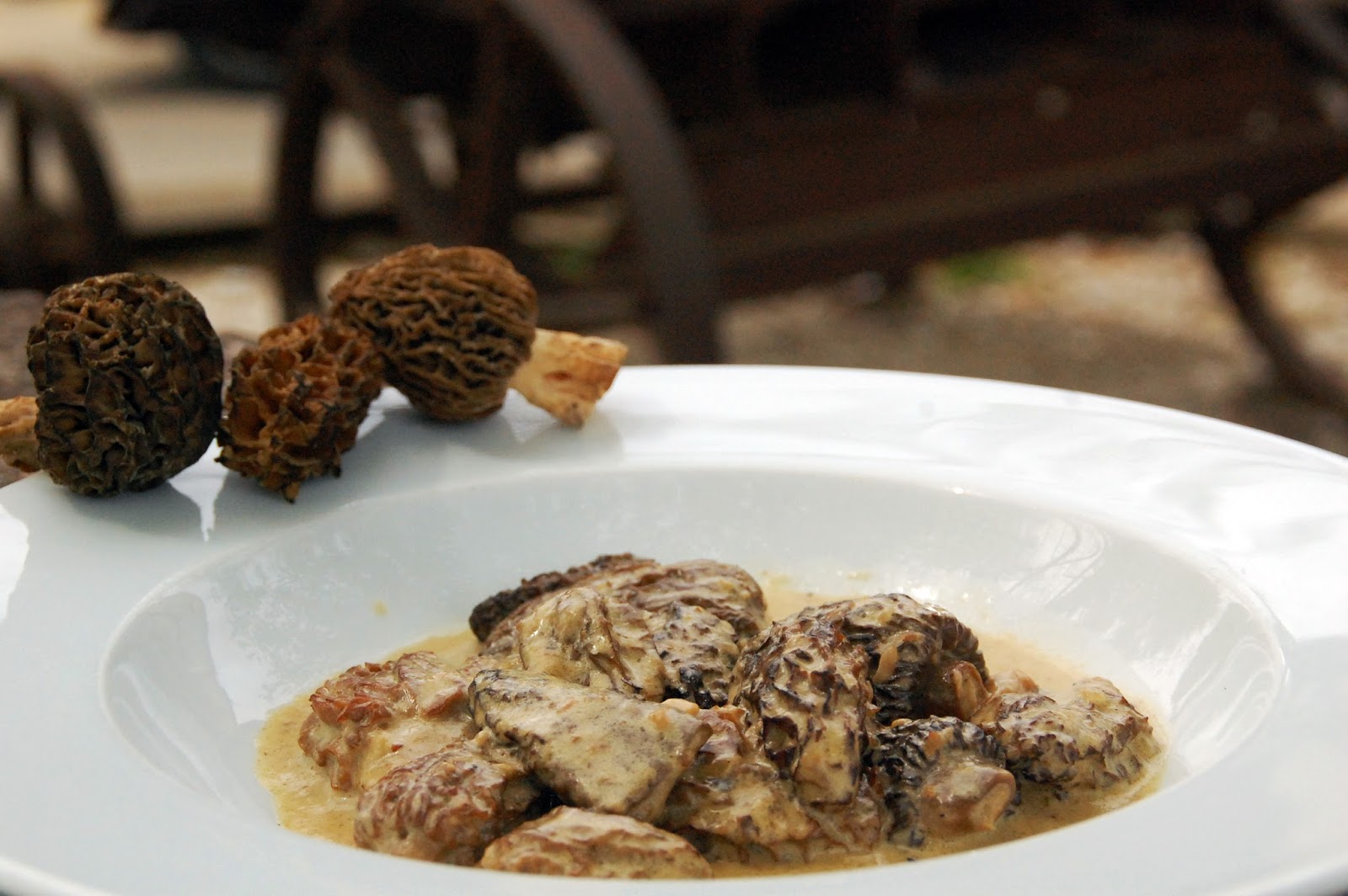 El Trull d'en Francesc: Ja tenim múrgoles? Vens a provar-les?