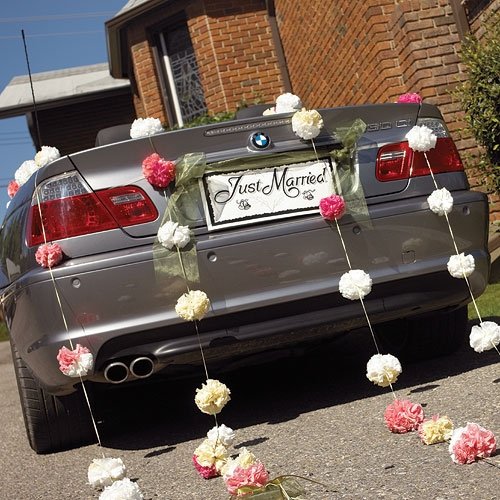 Wedding Car Decorations : Have your Dream Wedding