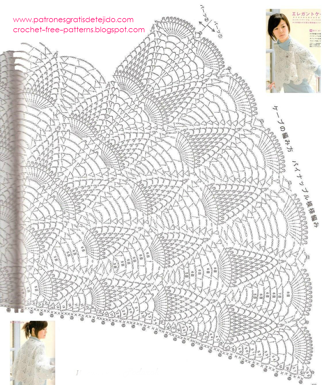 PATRONES GRATIS DE CROCHET: Patrón gratis de un bello chal a crochet