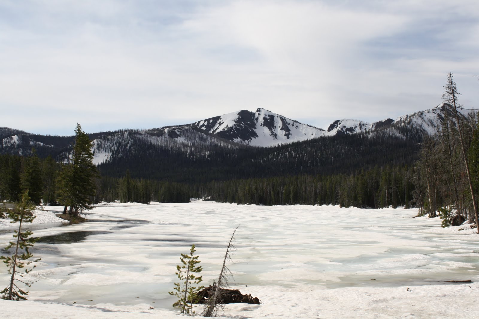 Robyn In Yellowstone: Sylvan Lake