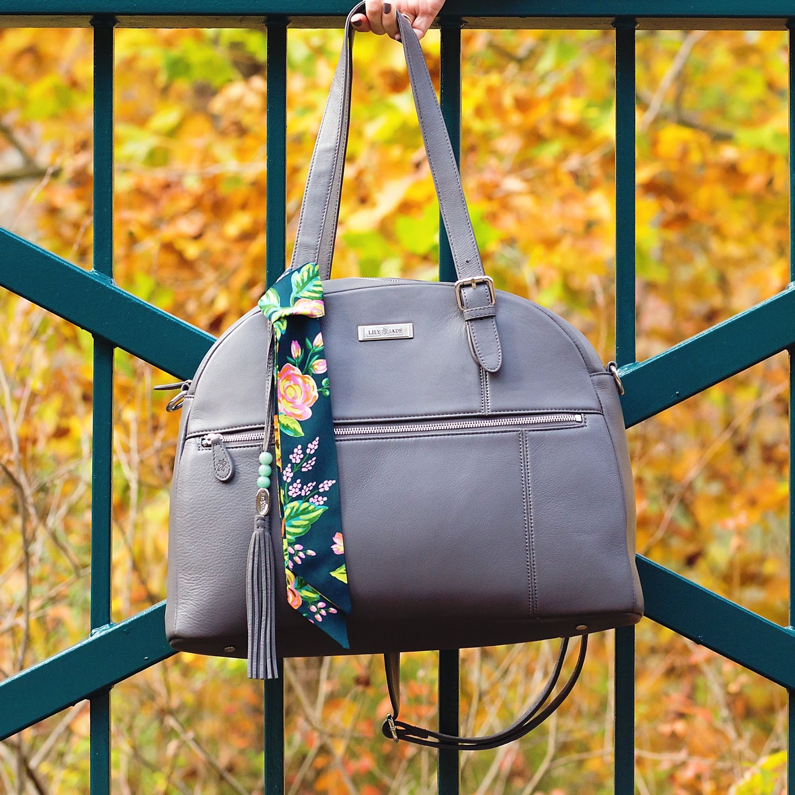 My journey into photography + our fall family photos