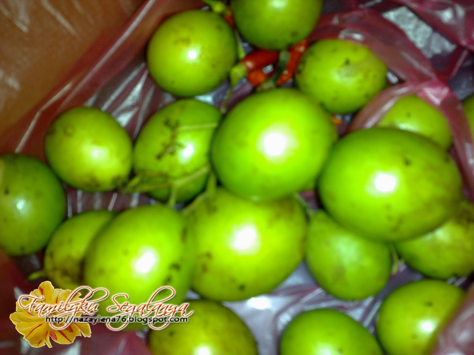 ! My Lovely Family Blog !: Buah Kundang......