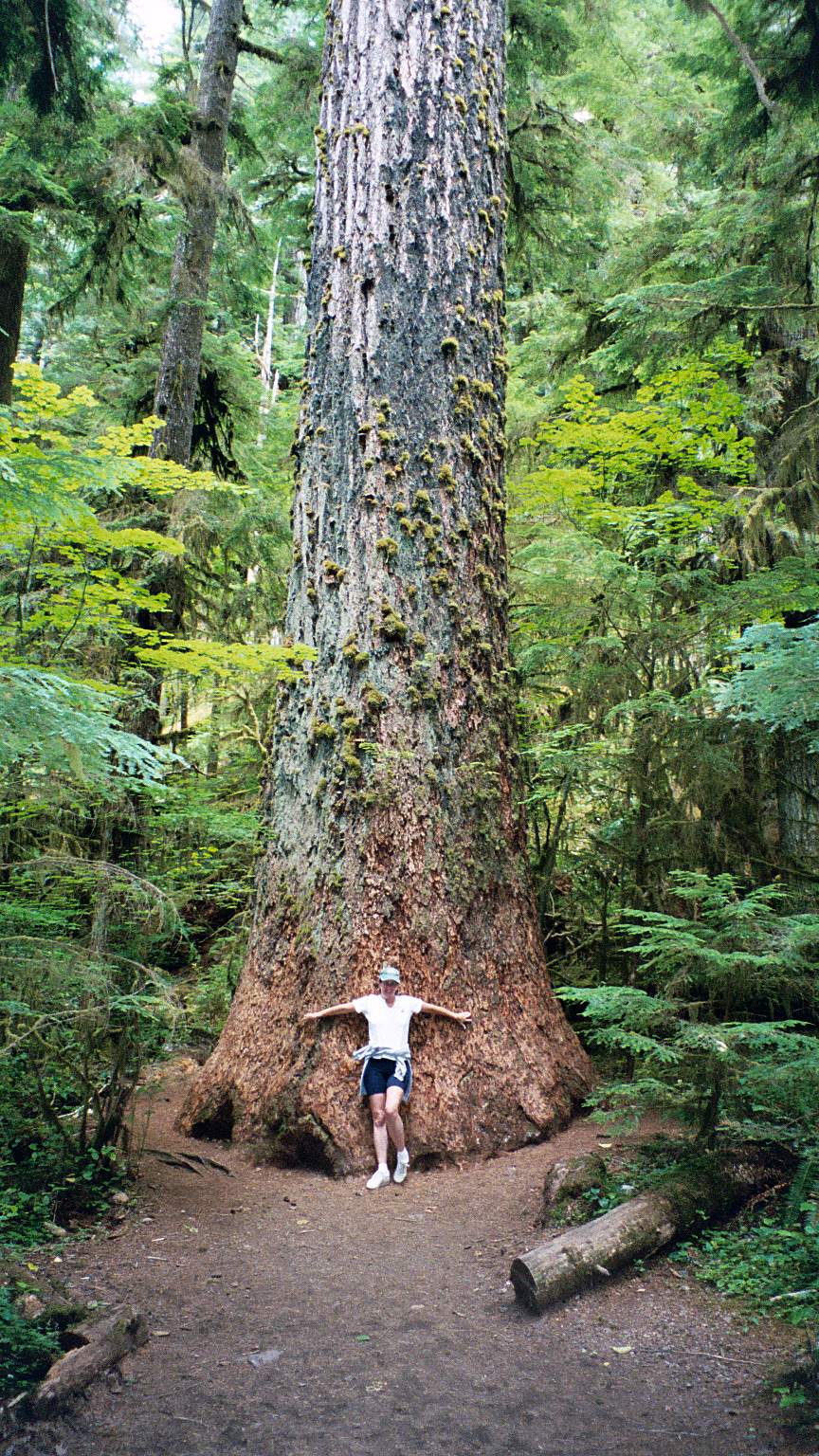 Lockwood Lavender Farm: Sequim Lavender Festival 2004