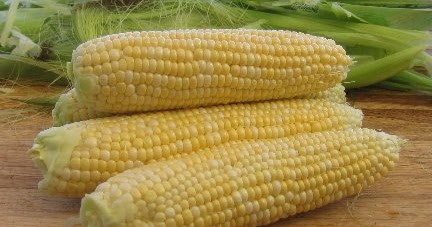 The Harris Sisters: The Easiest Way to Cook Corn on the Cob