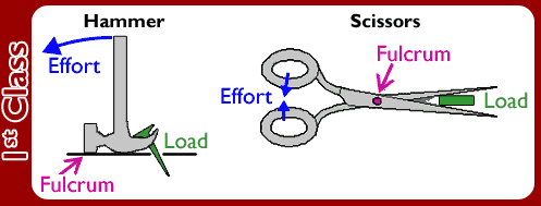 Science online: The types of the levers and the importance of each of them