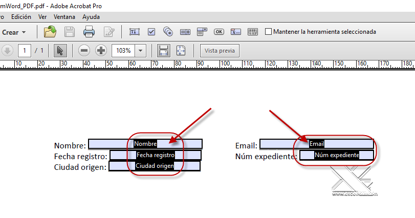 VBA: Rellenar un formulario PDF desde Excel | EXCEL FORO: Un blog de Excel