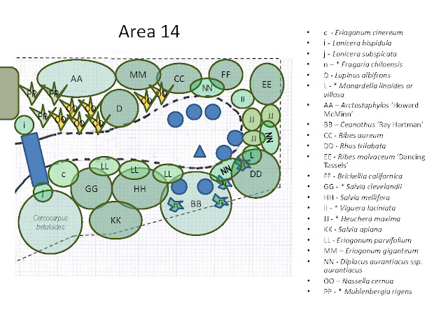 Mother Nature's Backyard - A Water-wise Garden: Garden Plan - January, 2012