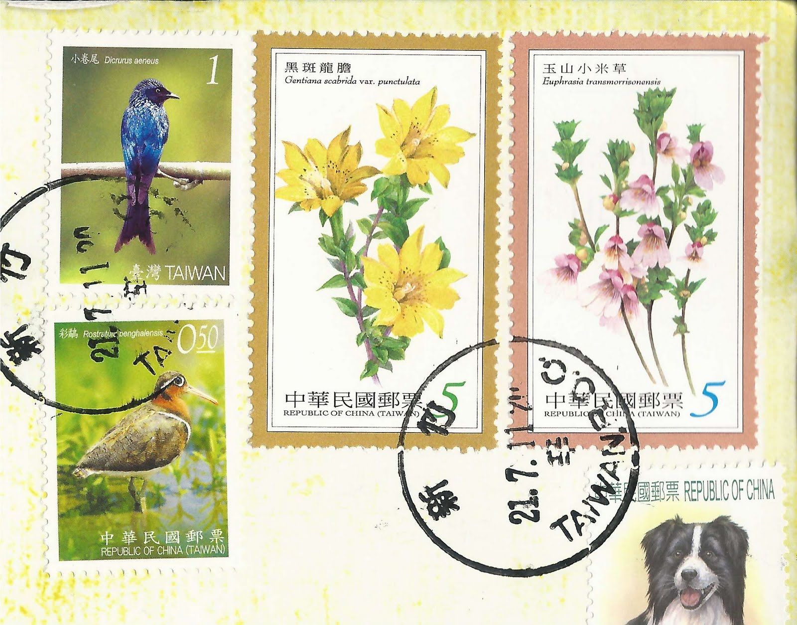 A Journey of Postcards: Large postcard from Taiwan