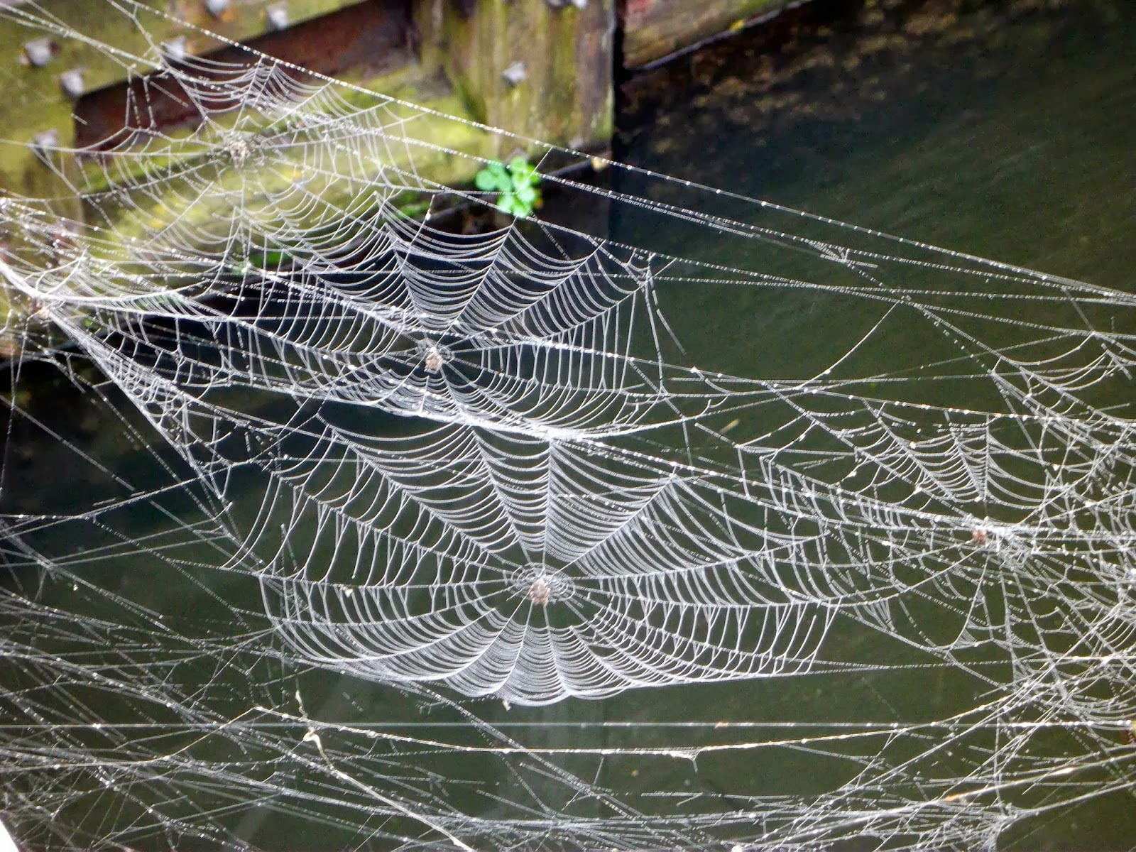 hexablue: september 2013