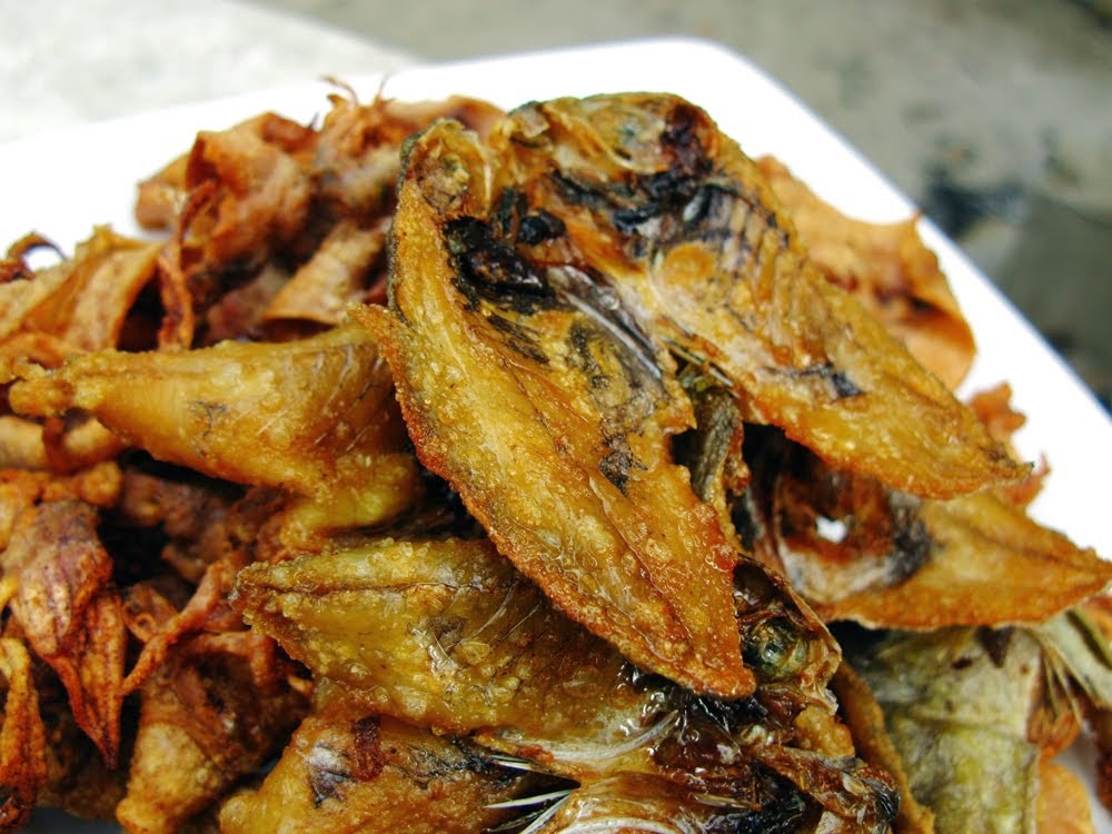 Must Be That Girl!: Piniritong Buwad Nga Danggit!