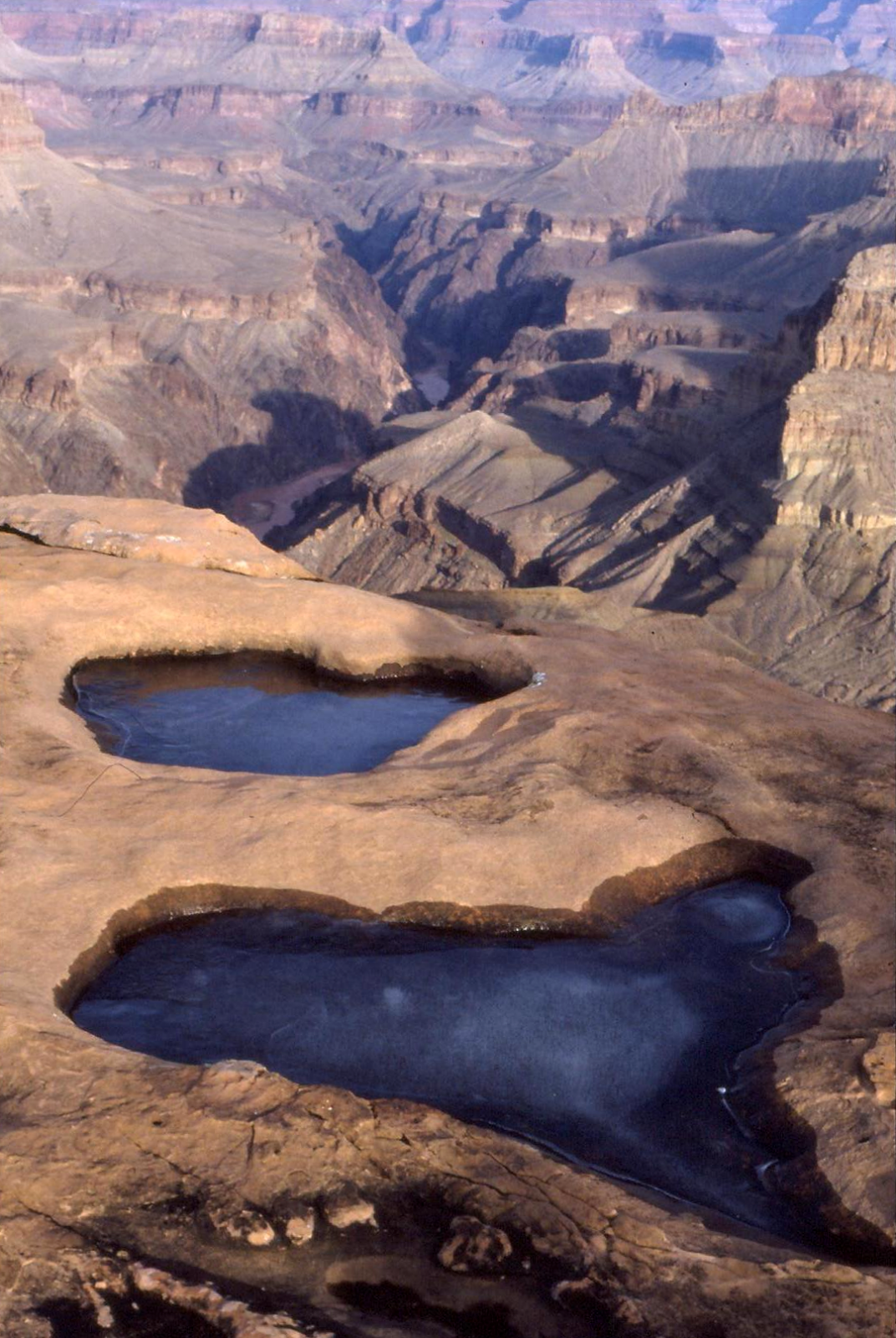 American Idyll: We Must Take Care Of The Earth