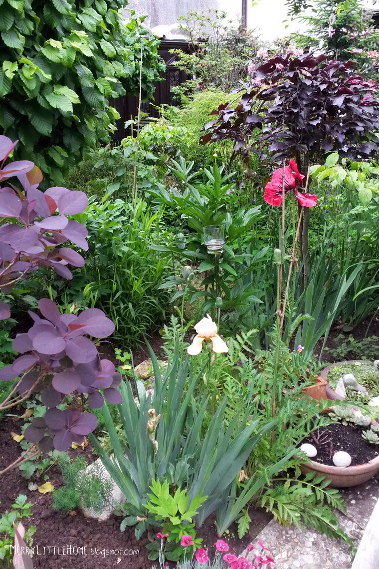 merry little home: SPELA'S GARDEN