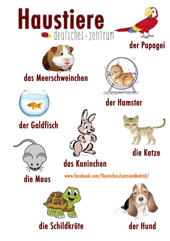 Lernen Deutsch für Kinder - Tipss und Vorlagen