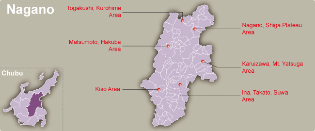 Nagano Map Regional City | Regional City Maps of Japan