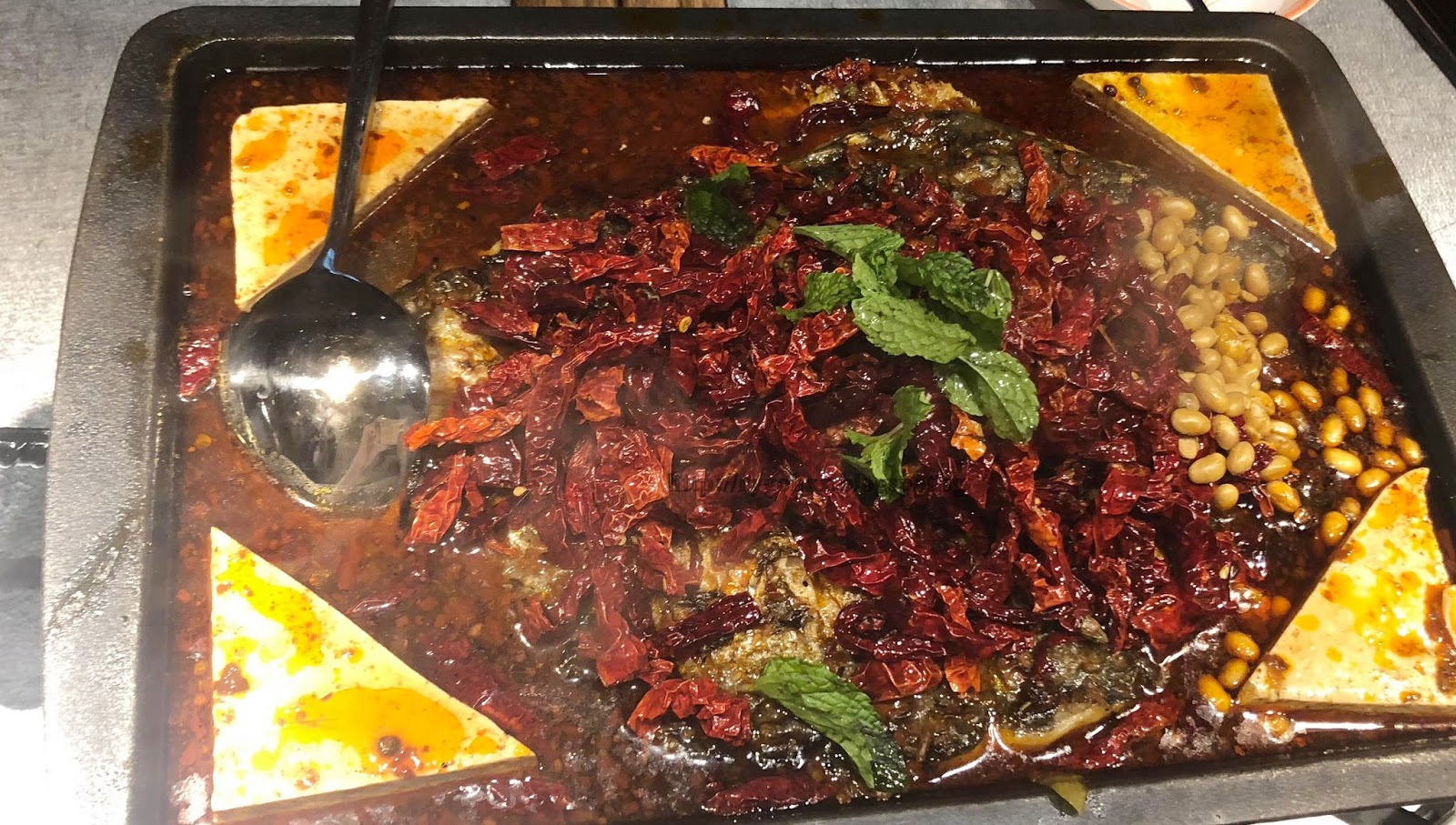 Tan Yu (探鱼) @ Somerset 313 - R.Y GOH