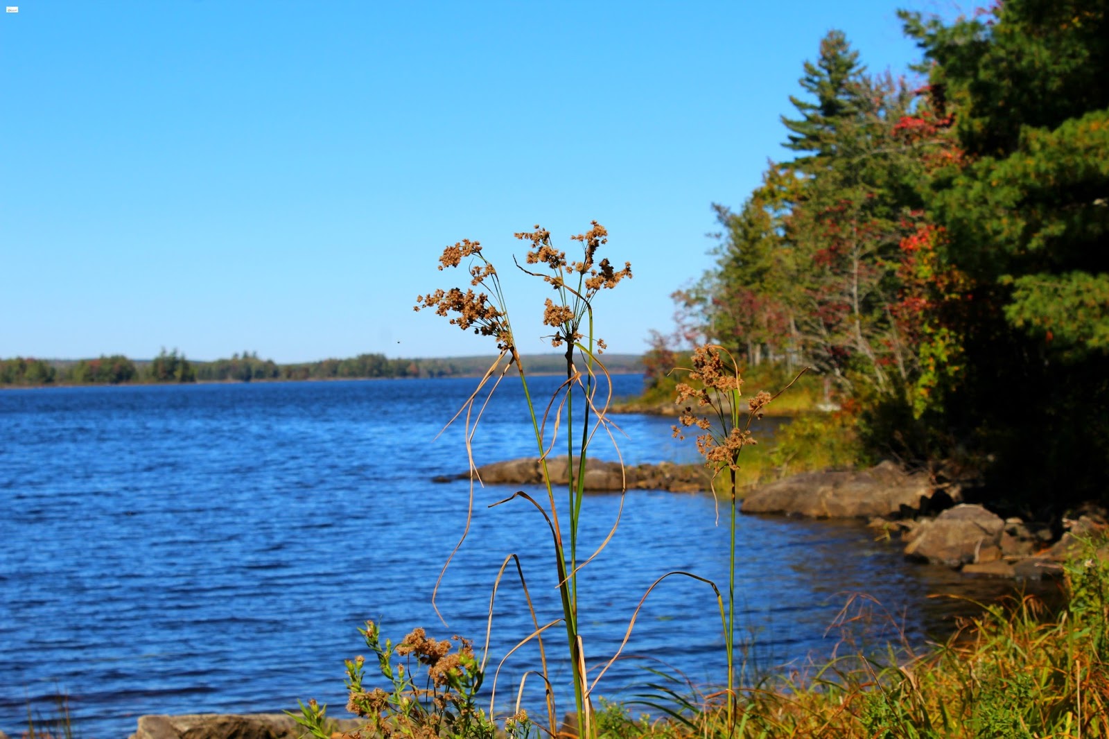 A Drive Through Beautiful Maine and A Lesson To Never Stop Exploring ...