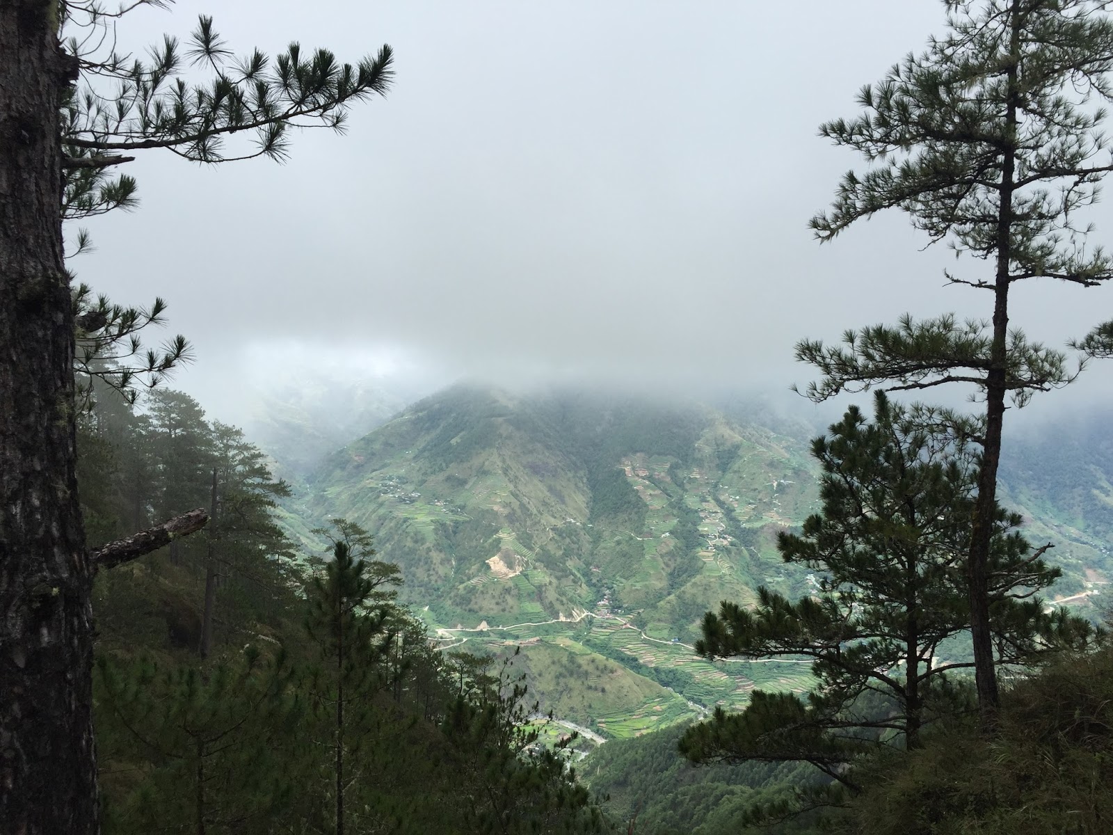 JP'sTravelogue.. my journey: Mt. Singakalsa Traverse - Timbak-kabayan