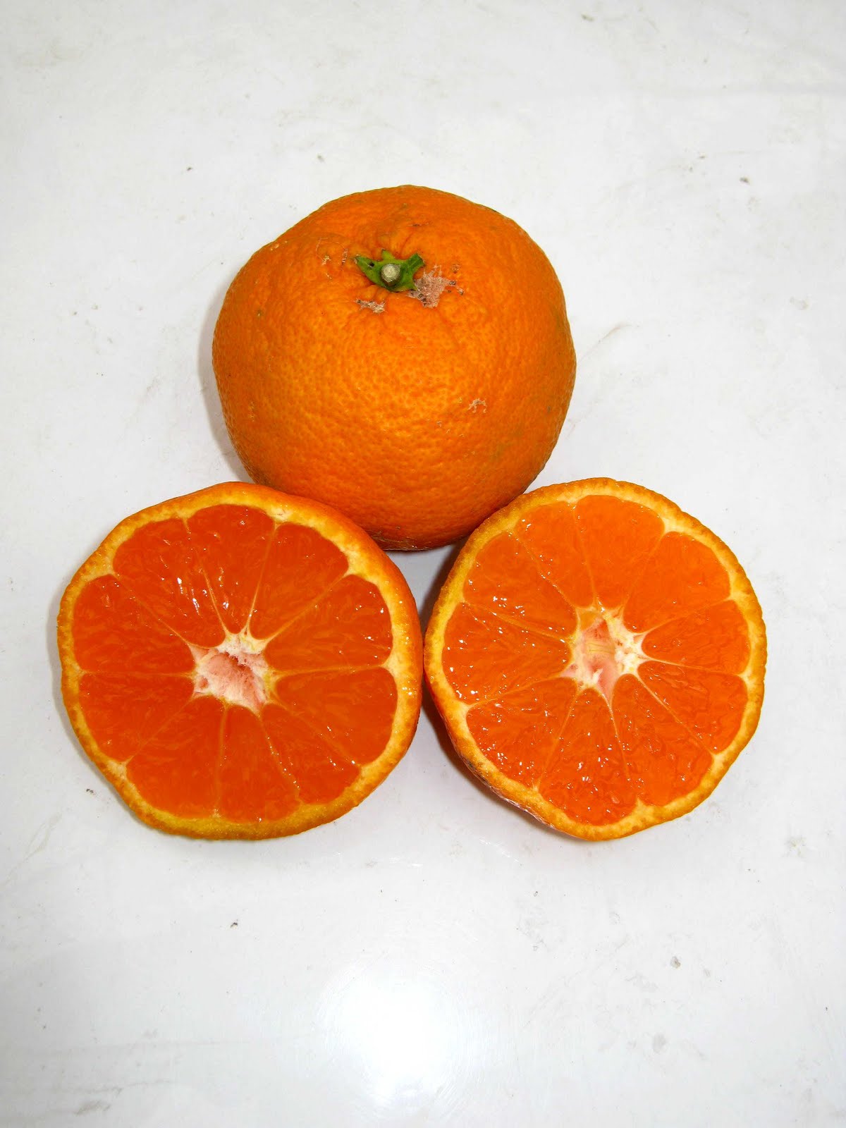 Redwood Barn Nursery Mandarins You Can Grow That 