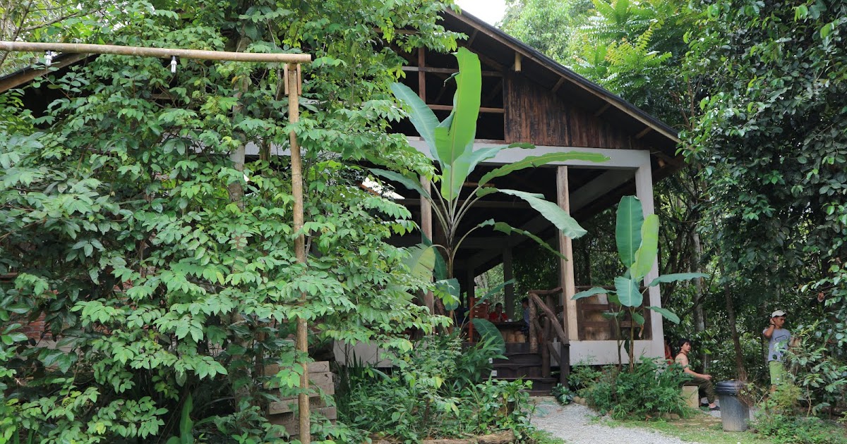 Pinto Coffee + @ Janda Baik....