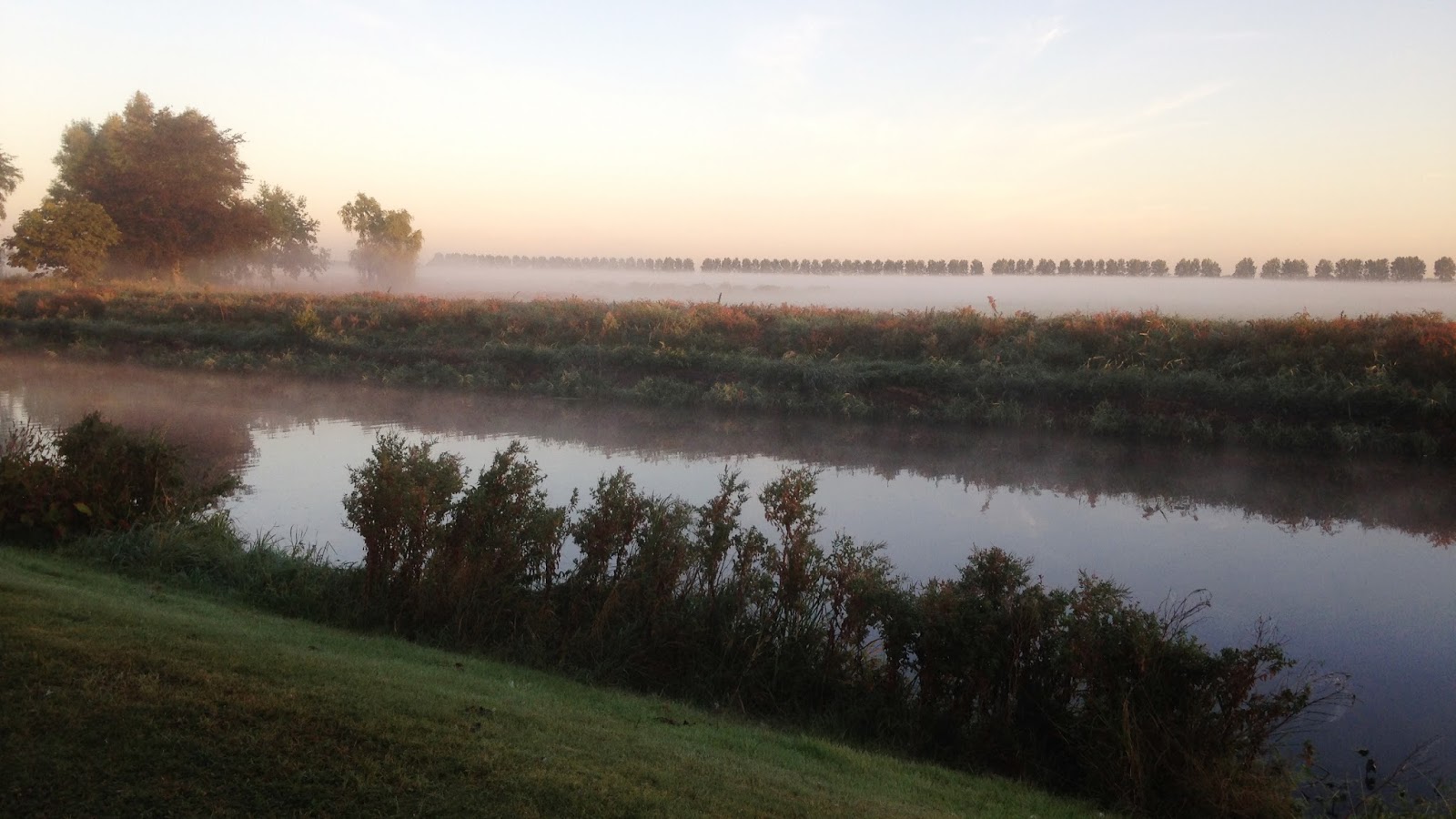 Natuurnotities Monique Smulders: Dauw, mist of nevel