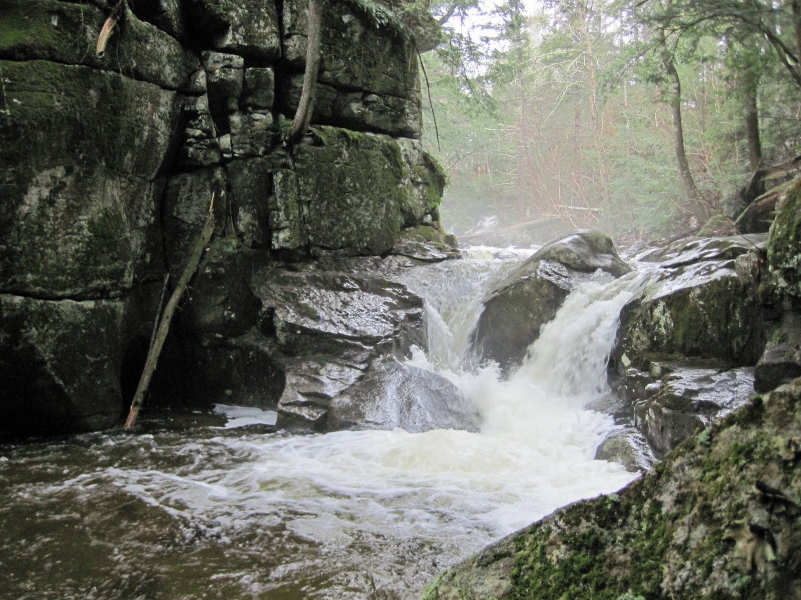 Ruff Waters Fly Fishing: Adirondack Brook Trout