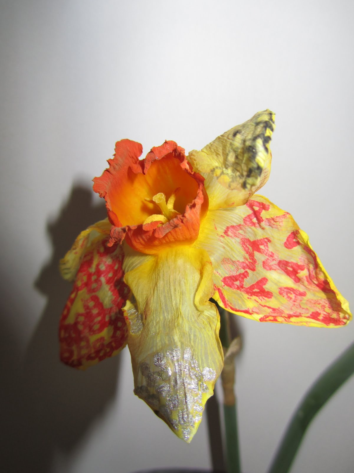 Design Practice: The Decomposition of a Flower.