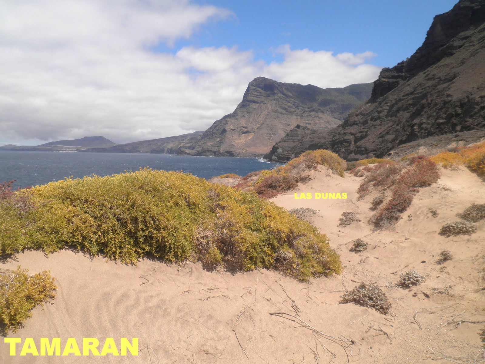 TAMARAN: ARTENARA DE TAMARAN FORMACIONES GEOLOGICAS PLAYAS VIRGENES