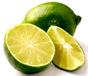 Limão - Citrus limonium