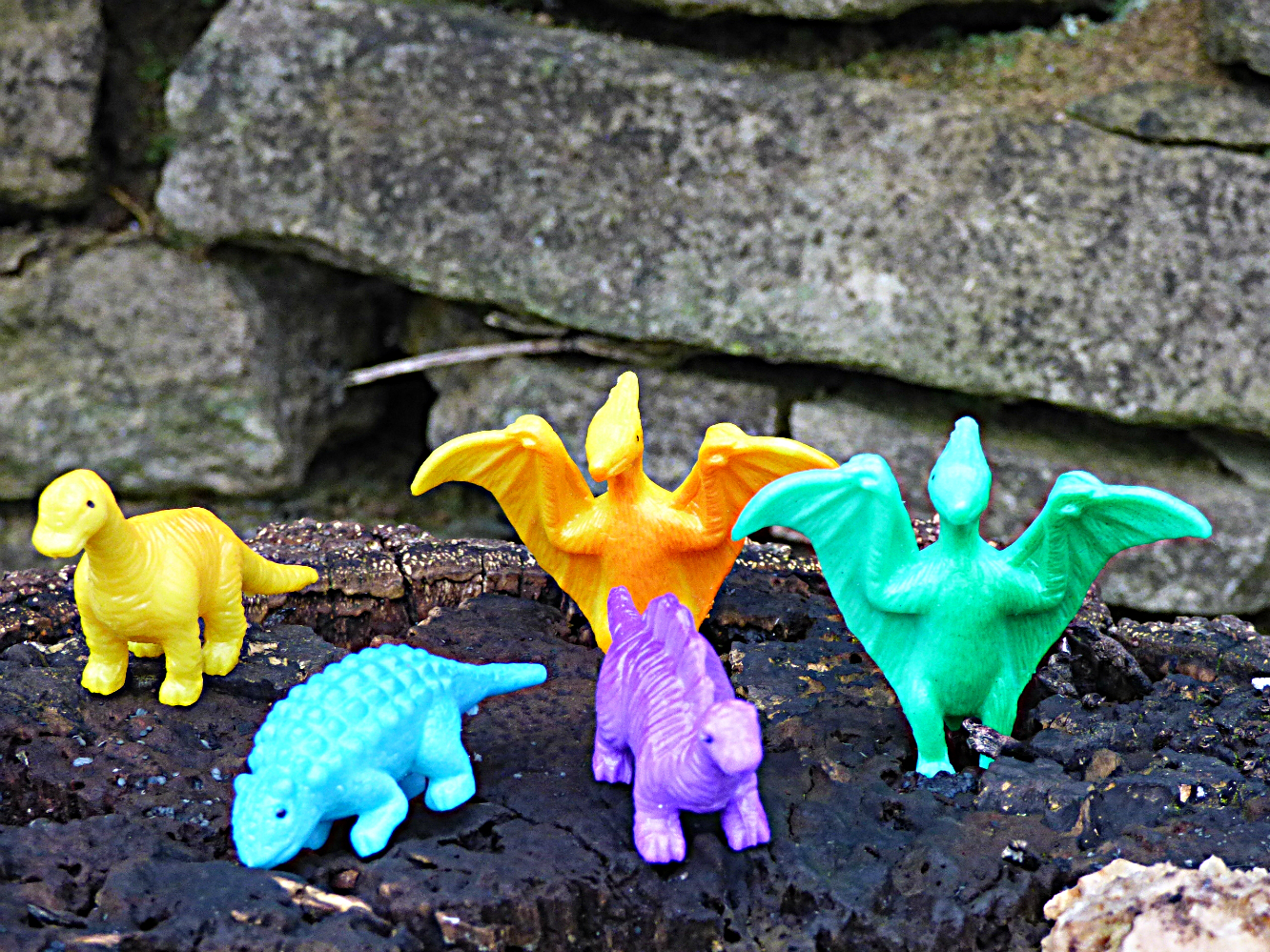 Chez Maximka: Andy's Amazing Adventures magazine launch