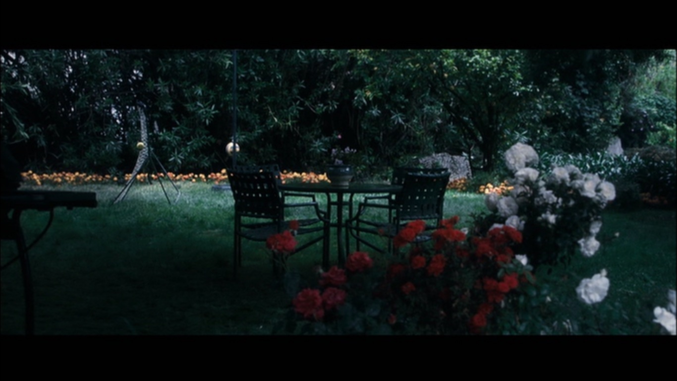 The Canvas of My Imagination