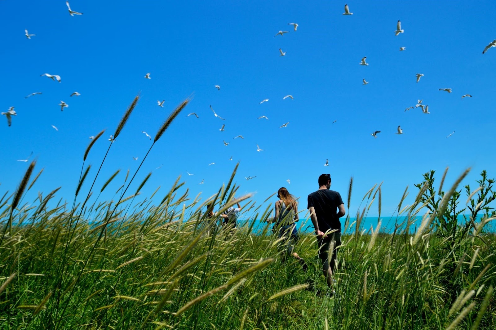 Неразкритият чар на остров Свети Иван