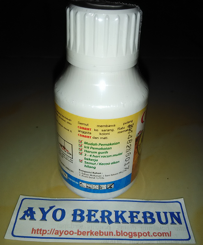 Racun / pembasmi semut dan kecoa CONANT - Ayo-Berkebun