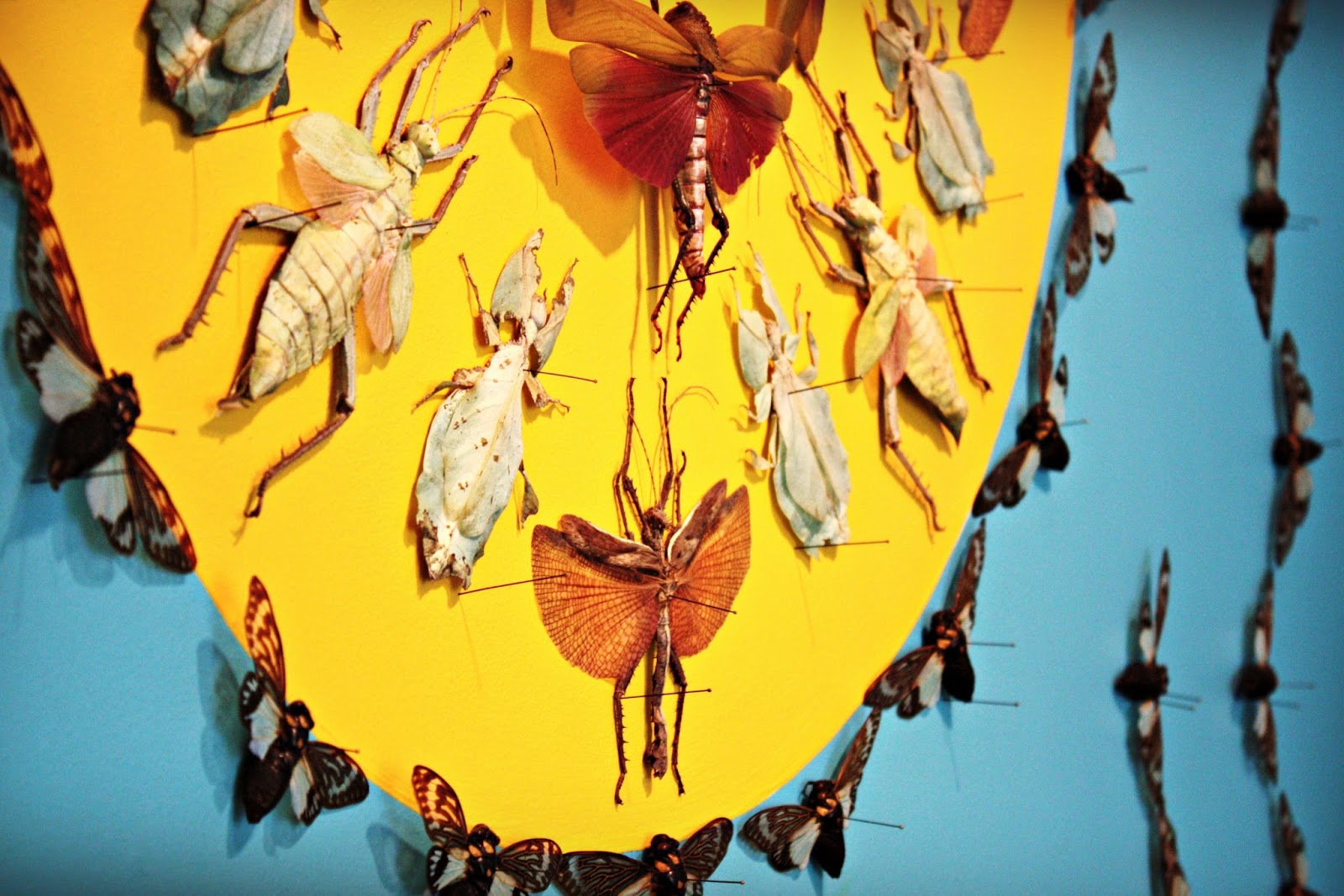 Indulging the Senses