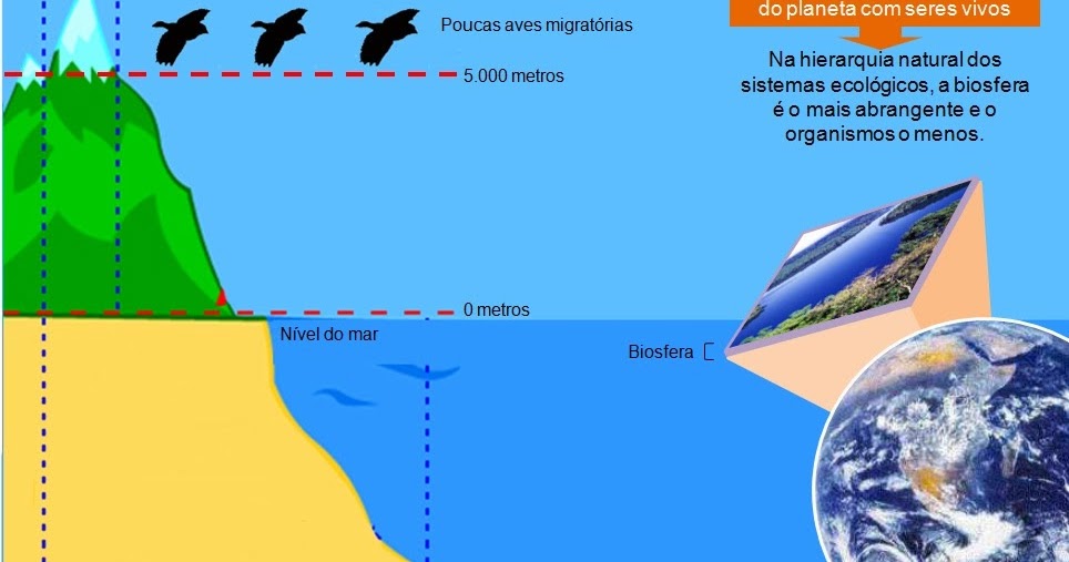 Biosfera, O Que é a Biosfera? ~ Enciclopédia Global™
