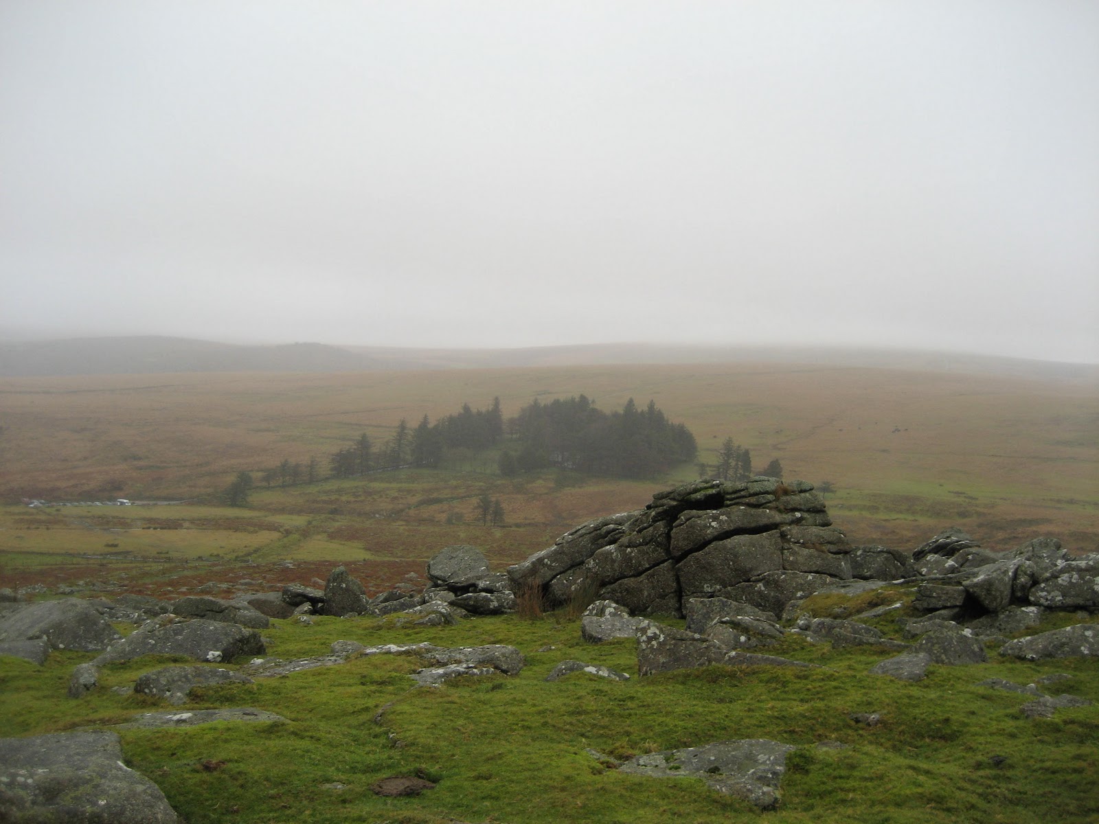 INSPIRED WALKS AROUND DEVON: Gutter Tor and the War Horse Guided Walk ...