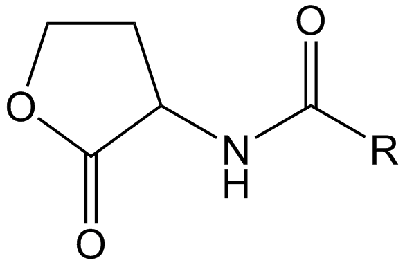 Medical Microbiology: Bacteria count each other using homoserine ...