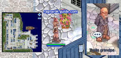 RAGNAROK GUIDE PHILLIPPINES: How to go to Turtle Island Quest