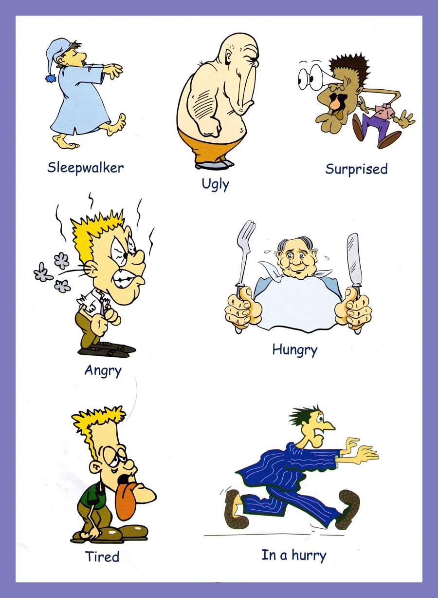 Adjective Sentences With Examples - English Hold