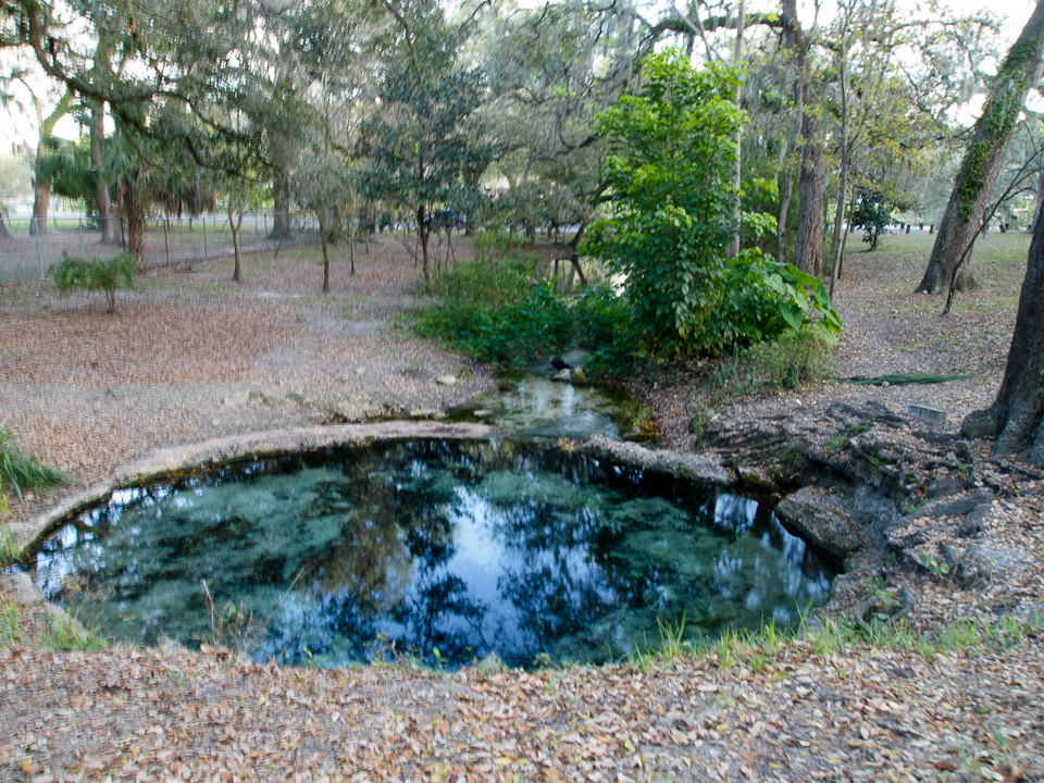 TAMPANIA: Purity Springs