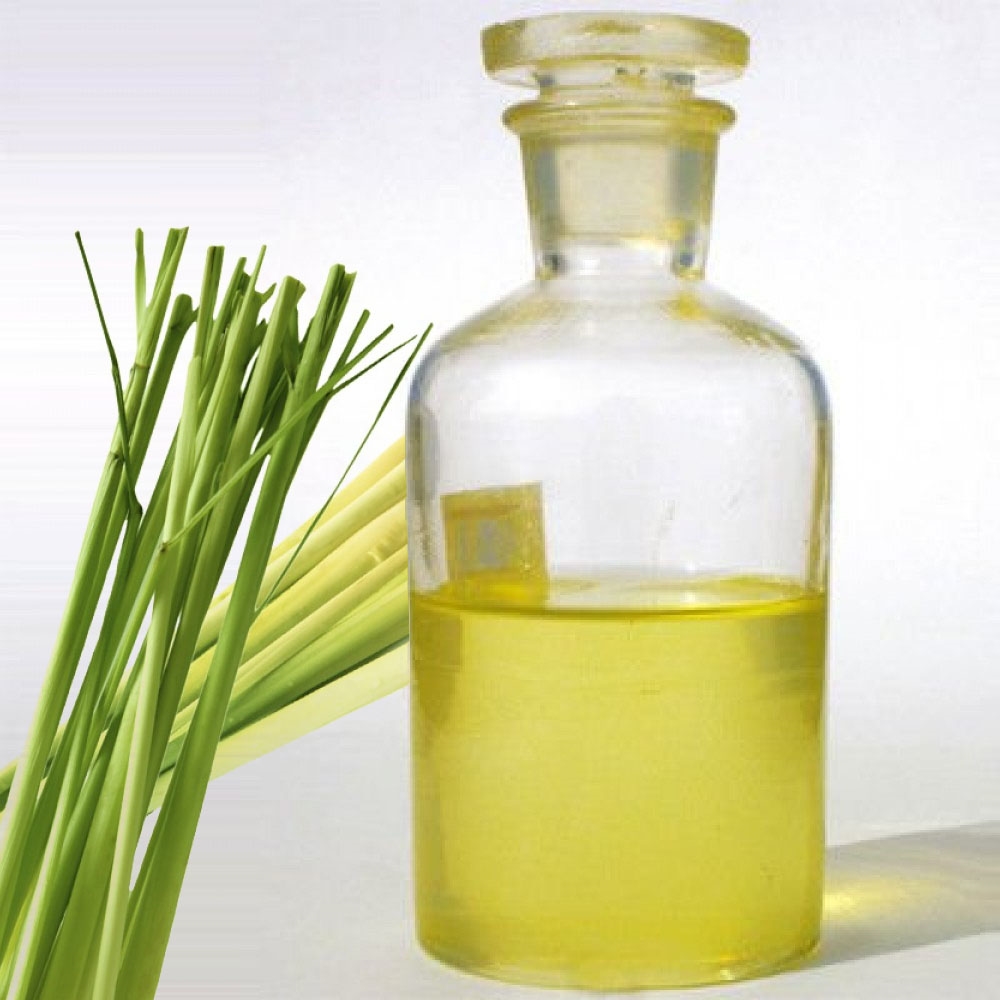 Citronela - Cymbopogon winterianus