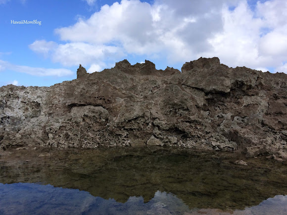 Hawaii Mom Blog: Pupukea Tide Pools