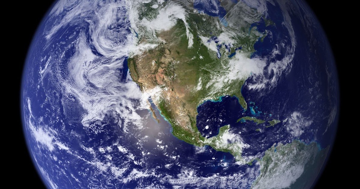 The Ailing Planet: The Green Movement Role | Class 11 Summary in English