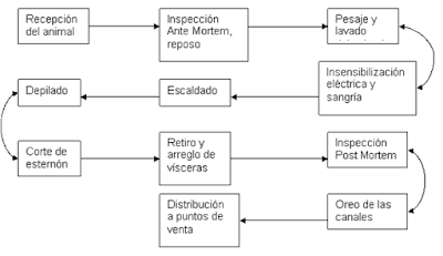 CARNES Y AVES: NUESTROS PROCESOS DEL FAENAMIENTO