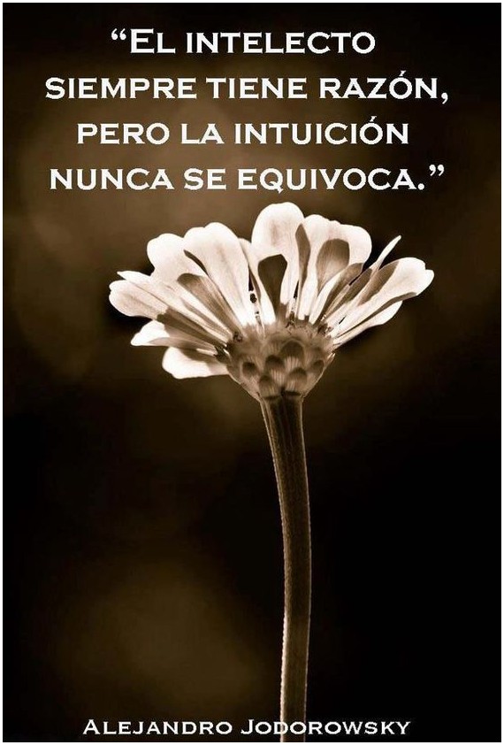 Pensamientos de un Solitario.: El intelecto siempre tiene razón, pero ...