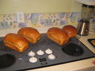 Peering Through a Porthole: Dreary Fall Day