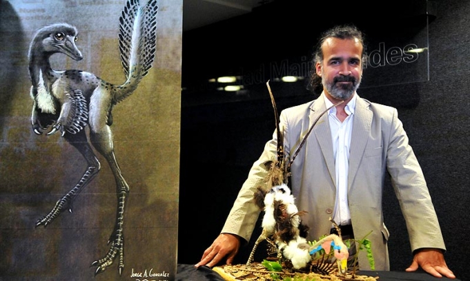 Reflejos 103.7: Presentaron a "Alnashetri cerropoliciensis”, un ...